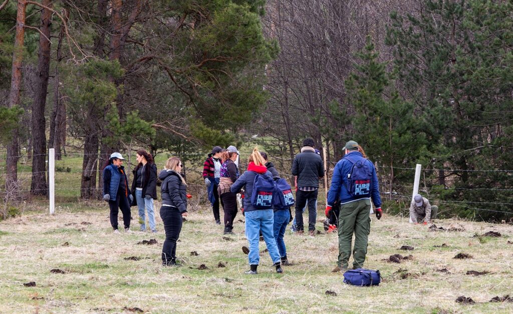 Team-ը հիմնում է 1 հեկտար անտառ Լոռու մարզում - How2B